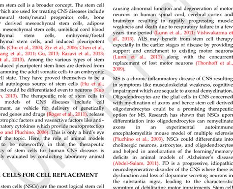 Differentiation Potential Of Nsc Download Scientific Diagram