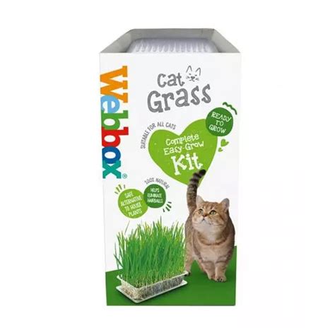 Webbox Cat Grass Complete Easy Grow Kit Higgipets