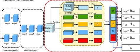 framework of our proposed global and local feature fusion method for vi download scientific