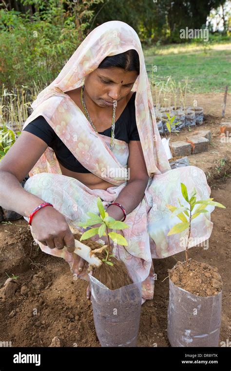 Tree Planting Asia Hi Res Stock Photography And Images Alamy