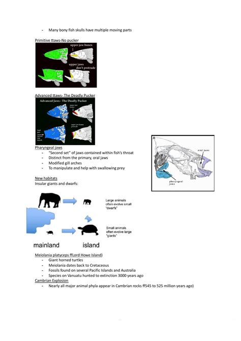 Fundamental Topics In Biology 2 Genomes To Ecosystems Notes Biol2039 Fundamental Topics In