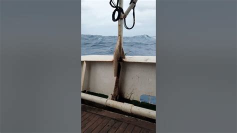 шторм начинается тихий океан Youtube