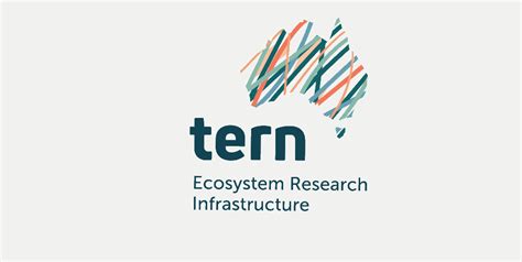 Tern Webinars Tern