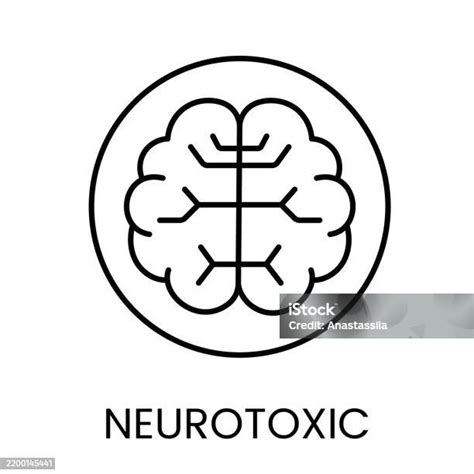 신경 독성과 뇌 건강을 나타내는 신경 회로가 있는 벡터의 뇌 아이콘으로 편집 가능한 스트로크가 있습니다 건강관리와 의술에 대한 스톡 벡터 아트 및 기타 이미지 Istock