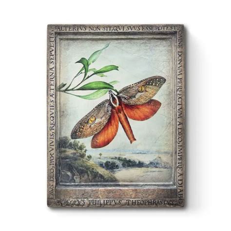 Retired Identity Sid Dickens Memory Block Shop Signatures