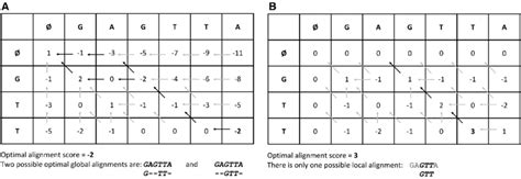A Global And B Local Alignment Of Two Sequences Q ¼ Gtt And R ¼ Download Scientific Diagram