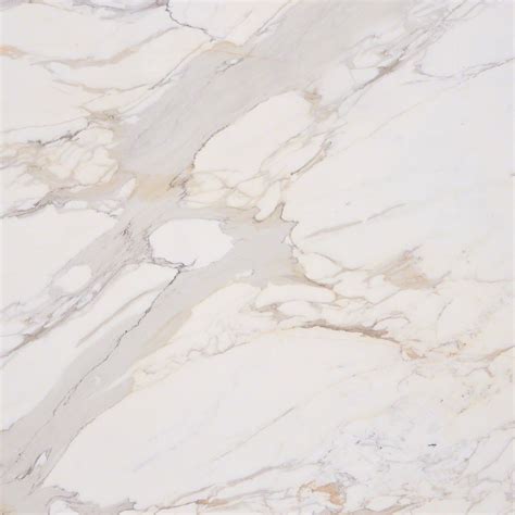 Calacatta Gold Marble Natural Stone Collection M S International Inc