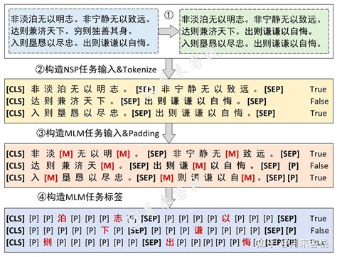 从零实现bert中的两个预训练任务（下） 知乎