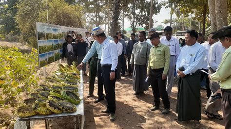 ဧရာဝတီတိုင်းဒေသကြီးအစိုးရအဖွဲ့ ဝန်ကြီးချုပ် မြန်အောင်ခရိုင် ၂၀၂၃ ၂၀၂၄