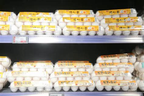 不滿飼料價格太貴！批「飼料廠沒有共體時艱」全台雞農81抗議 生活焦點 要聞 Nownews今日新聞