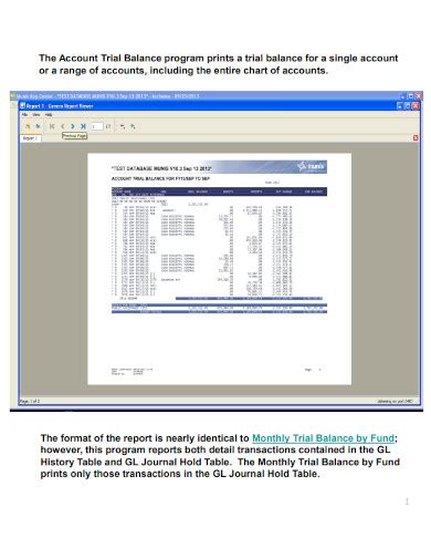 6 Trial Balance Examples To Download