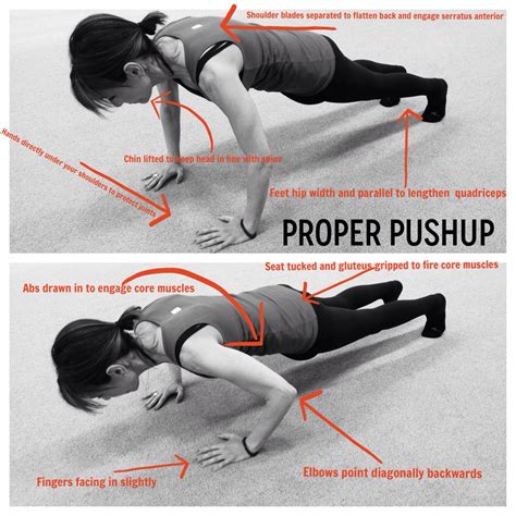 Proper Push Up Proper Push Up Muscle Abs Core Muscles