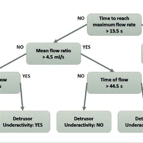 Decision Making Tree Graph Allowing To Estimate Impaired Detrusor Decision Making Tree Graph Allowing To Estimate Impaired Detrusor