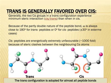 Ppt Protein Folding Powerpoint Presentation Free Download Id2027848