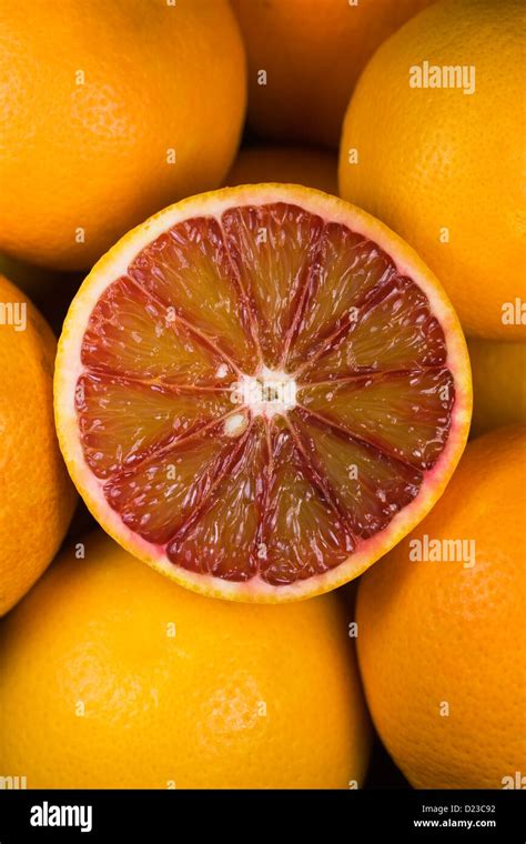 Hesperidium Fruit