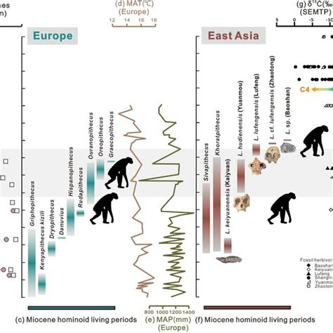 Occurrence Dates Behavioural Patterns And Environments Of Hominoids In
