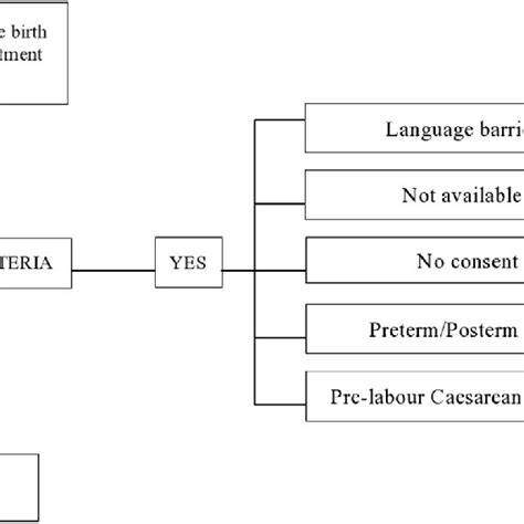 Sample Size Flow Chart Download Scientific Diagram