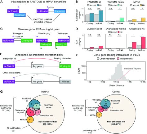 A Small Fraction Of Lncrna Gene Hits Have Evidence Of Enhancer Like