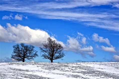 June 2016 Roudenbush Community Center Artists Of The Month Tom Briere