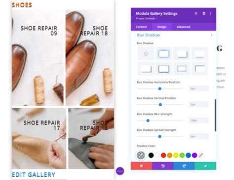 Divi Plugin Highlight Modula Divi Extension