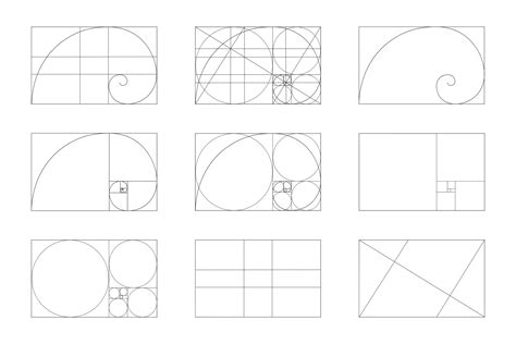 Golden Ratio Template Set Fibonacci Sequence Signs Logarithmic Spiral