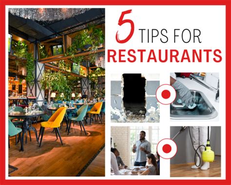 Csiro Termite Risk Map