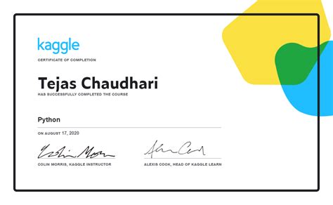 tejas chaudhari completed the python course on kaggle