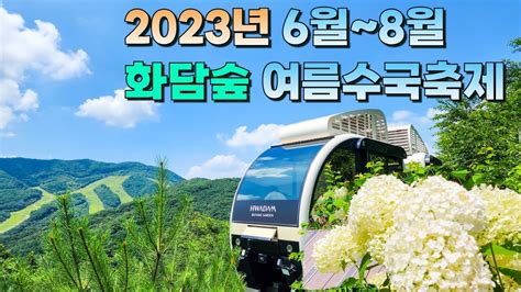 4k 경기도 광주시 화담숲 여름 수국 축제 방문후기 230701 Youtube