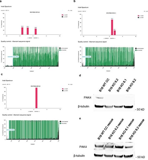 Validation Of The Generation Of A Pak4 Ko B16 Cell Line A B C Tide