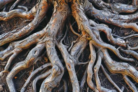 Premium Photo Refining Root Cause Analysis Processes Ar Generative Ai