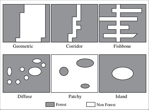 Typologies Of The Forestnon Forest Spatial Patterns Download Scientific Diagram