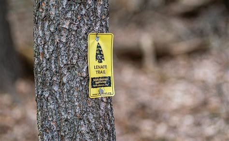 The History Of The Lenape Indigenous People