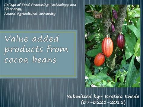 Processing Of Cocoa Ppt