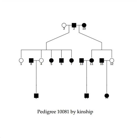 Kinship Chart Template Social Media Template