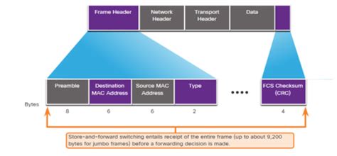 Chapter 2 Switching Concepts Flashcards Quizlet