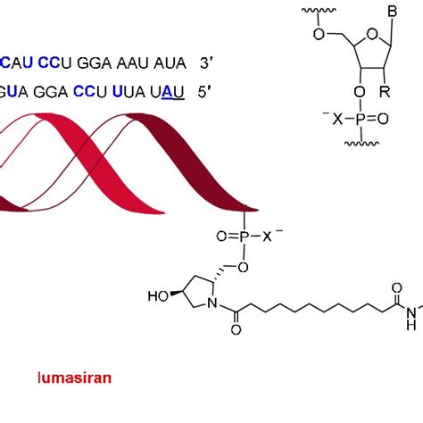 Structure Of Lumasiran Download Scientific Diagram