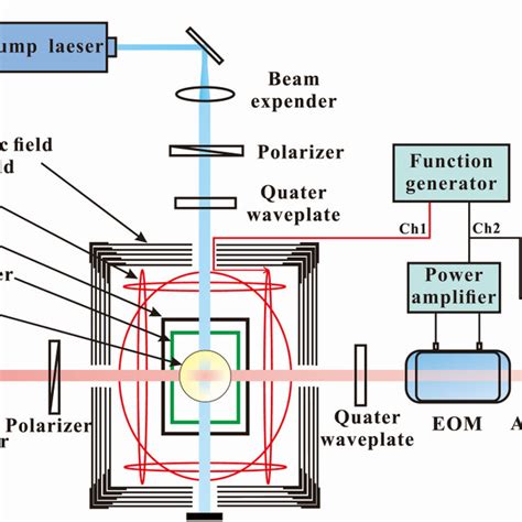 Schematic Of The Serf Atomic Magnetometer Using The Eom Detection Method Download Scientific