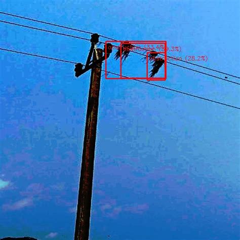 Computer Vision Based Obstruction Detection Identifying Obstruction In Power Lines