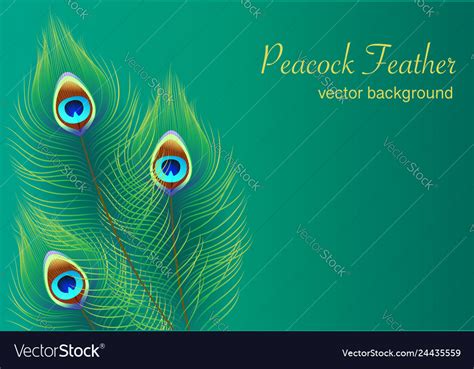 Peacock Feather Background Dark Green Royalty Free Vector