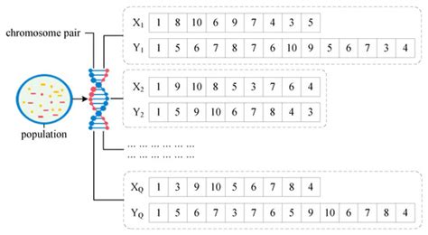 Field Complete Coverage Path Planning Based On Improved Genetic Algorithm For Transplanting Robot