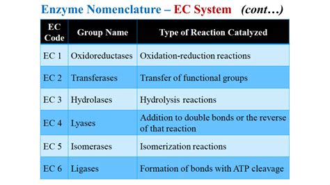 Biochemistry Lecture Notes Enzymes Pdf