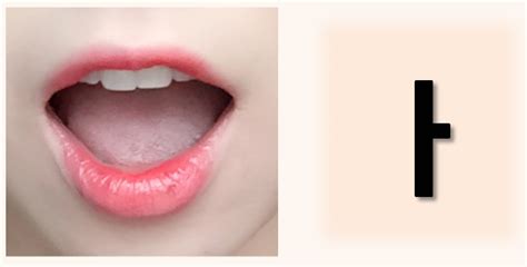 부정확한 발음 좋아지는법 발음 연습 네이버 블로그