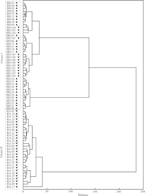 The Cluster Analysis Based On The First Derivative Of Ir Spectra Of