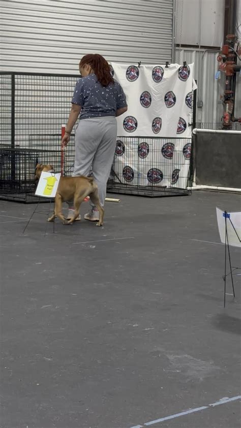 Rally Class 102622 Rk9sports