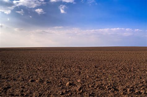 Obrazy Ackerfeld — Zdjęcia Wektory I Wideo Bez Tantiem 378 Adobe