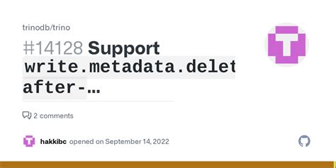 Support `writemetadatadelete After Commitenabled` And `writemetadataprevious Versions Max