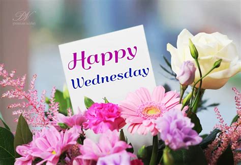 Happy Wednesday Flowers To Wish You The Best Wednesday Wishes