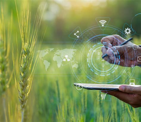 Defra Farming Innovation Programme M A Partners