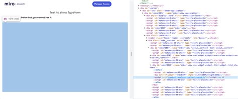 Typeform Not Showing Up After Embed Community