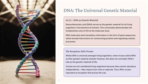 Ib Dp Biology A12 Nucleic Acids Syllabus Teaching Notes